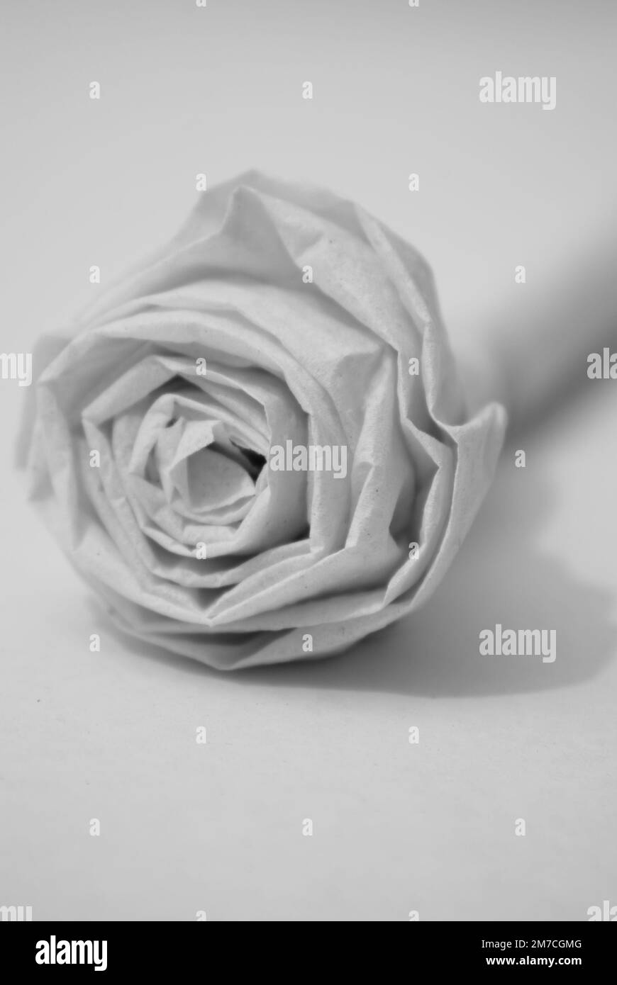 Paper flower origami hi-res stock photography and images - Alamy