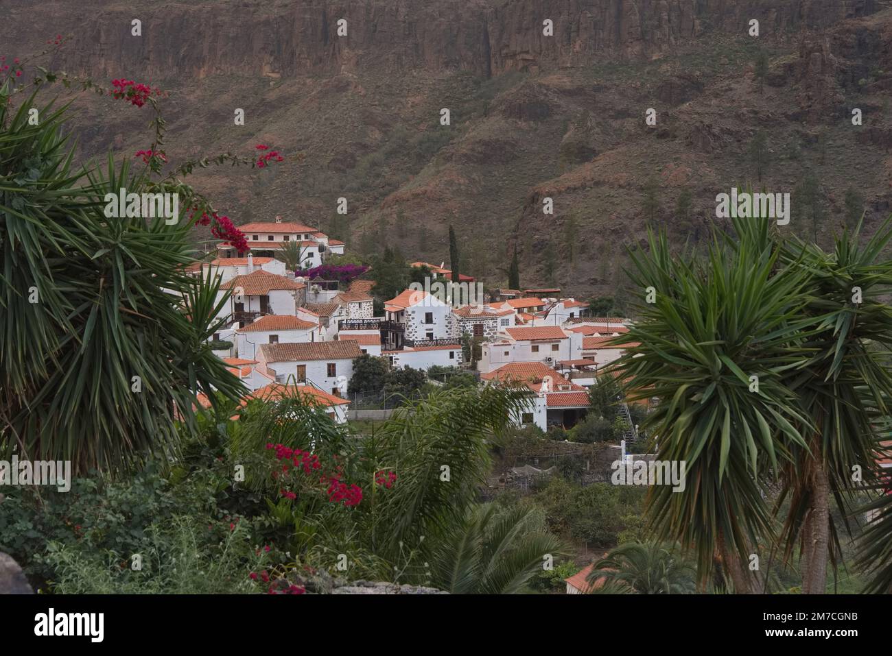 Gran canaria fataga village hi-res stock photography and images - Alamy