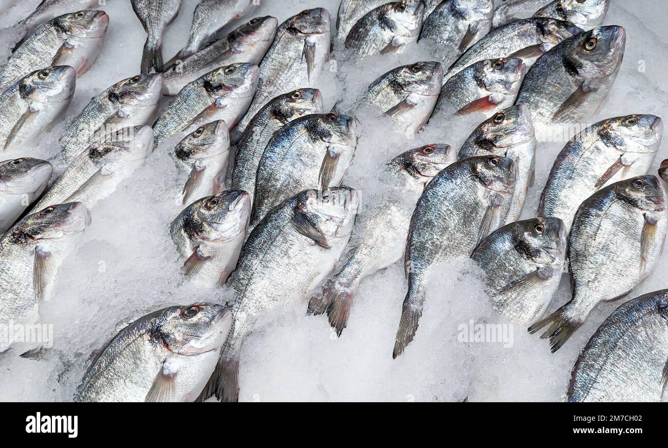 Fresh chilled fish among ice in a supermarket Stock Photo - Alamy