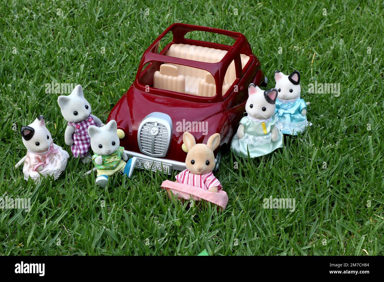 A group of Sylvanian Families standing around a vintage wedding car ...