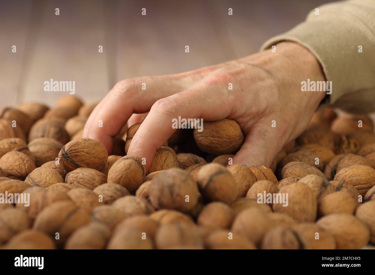 hand scooping walnuts from the table on a gray background Stock Photo ...
