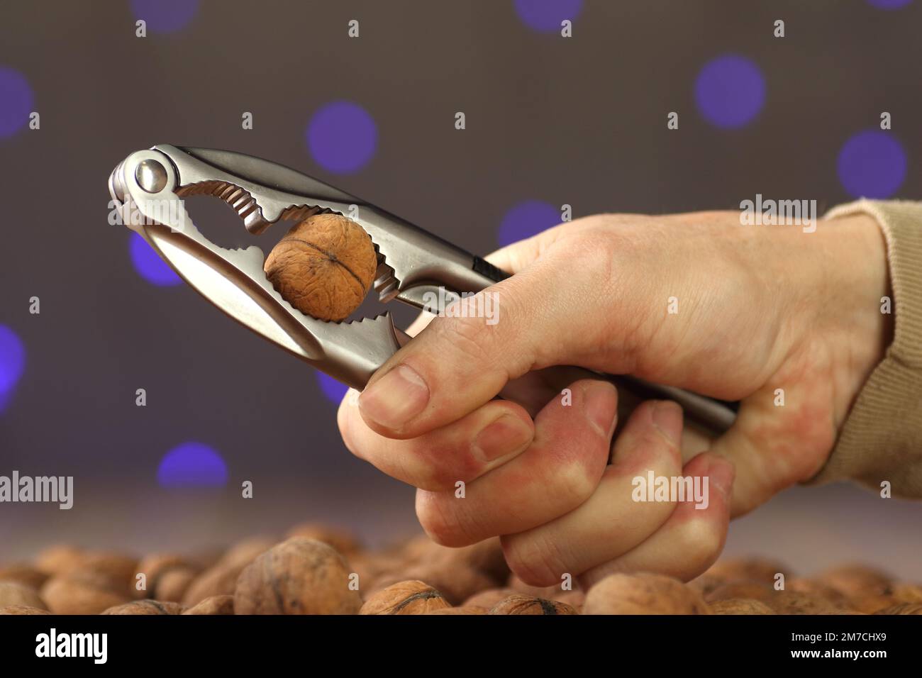 nutcracker in hand with a nut over the table and colored background ...