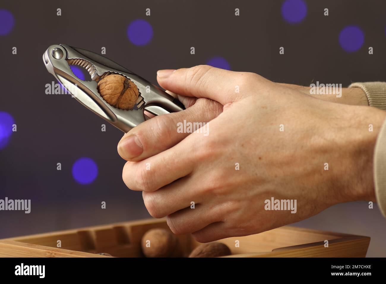 nutcracker clenched in hand with a walnut on a gray background Stock ...