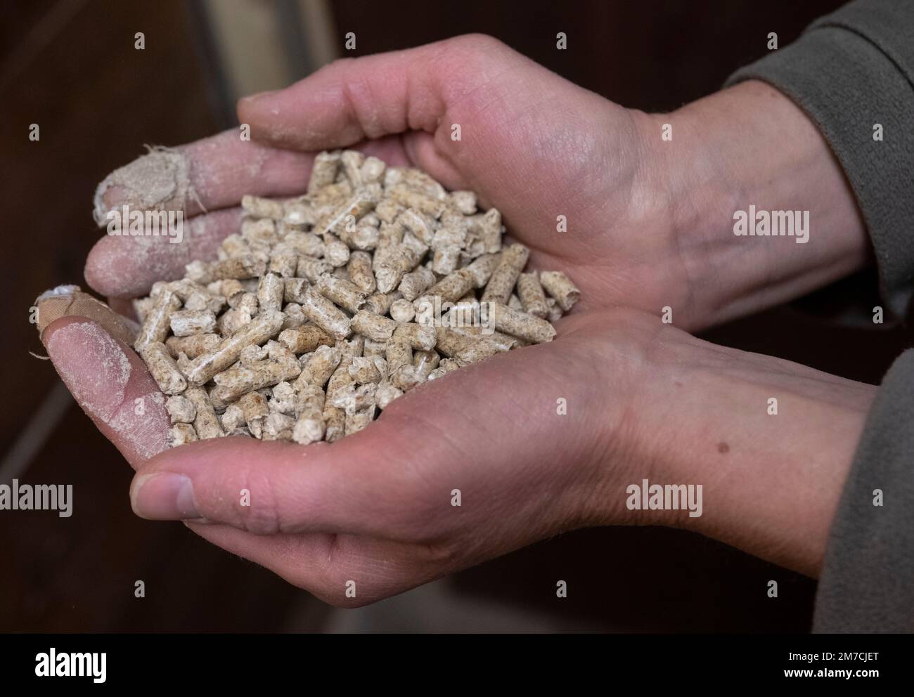 Frille, Germany. 04th Jan, 2023. A woman holds wood pellets in the ...