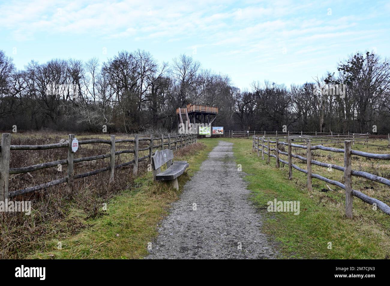 Lower Austria, Austria. Marchauen nature reserve in the floodplain of ...