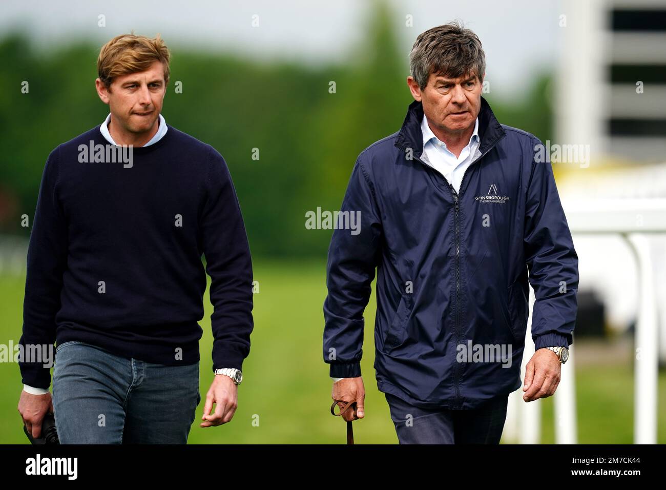 Base note horse hi-res stock photography and images - Alamy