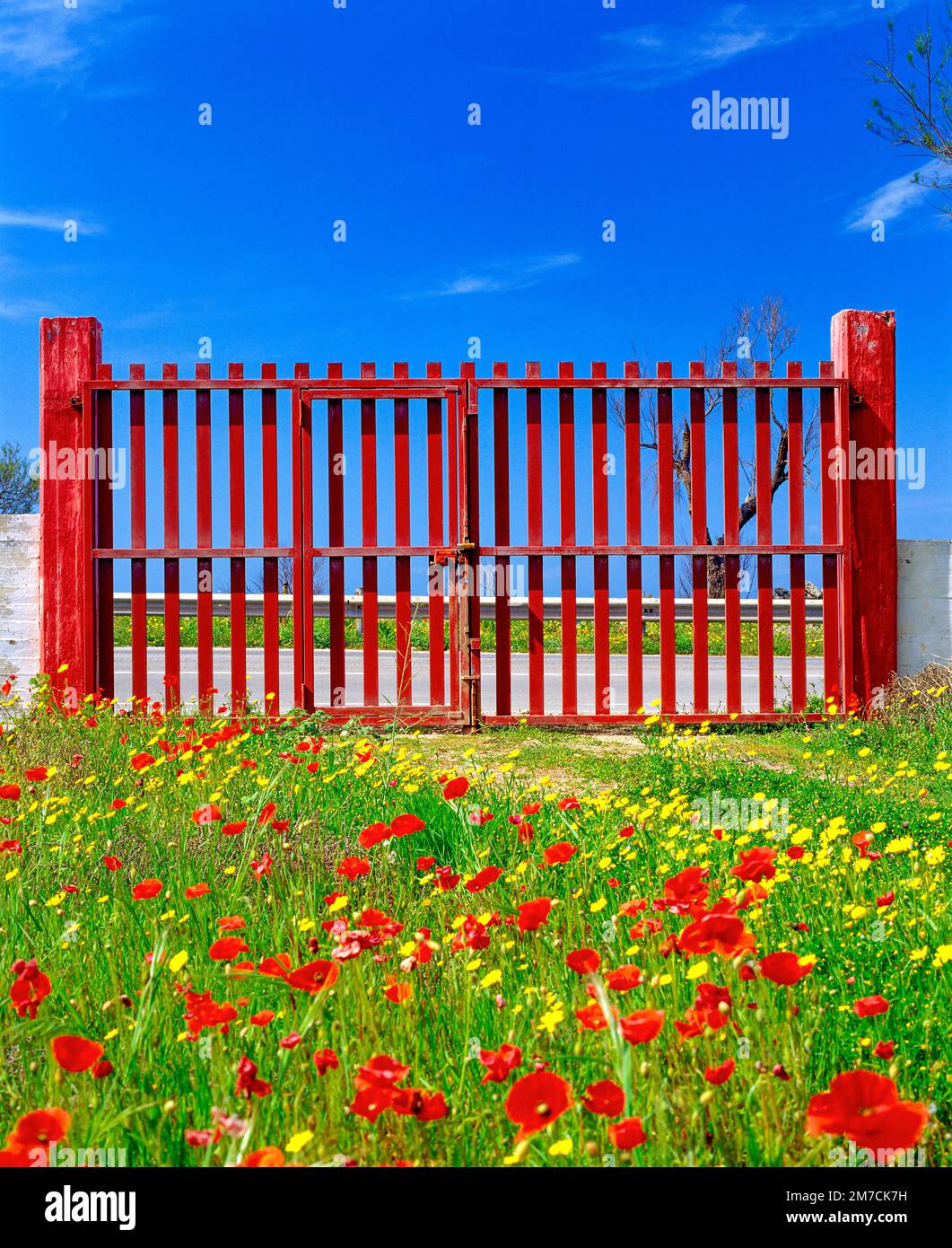 Spring landscapes gate hi-res stock photography and images - Alamy