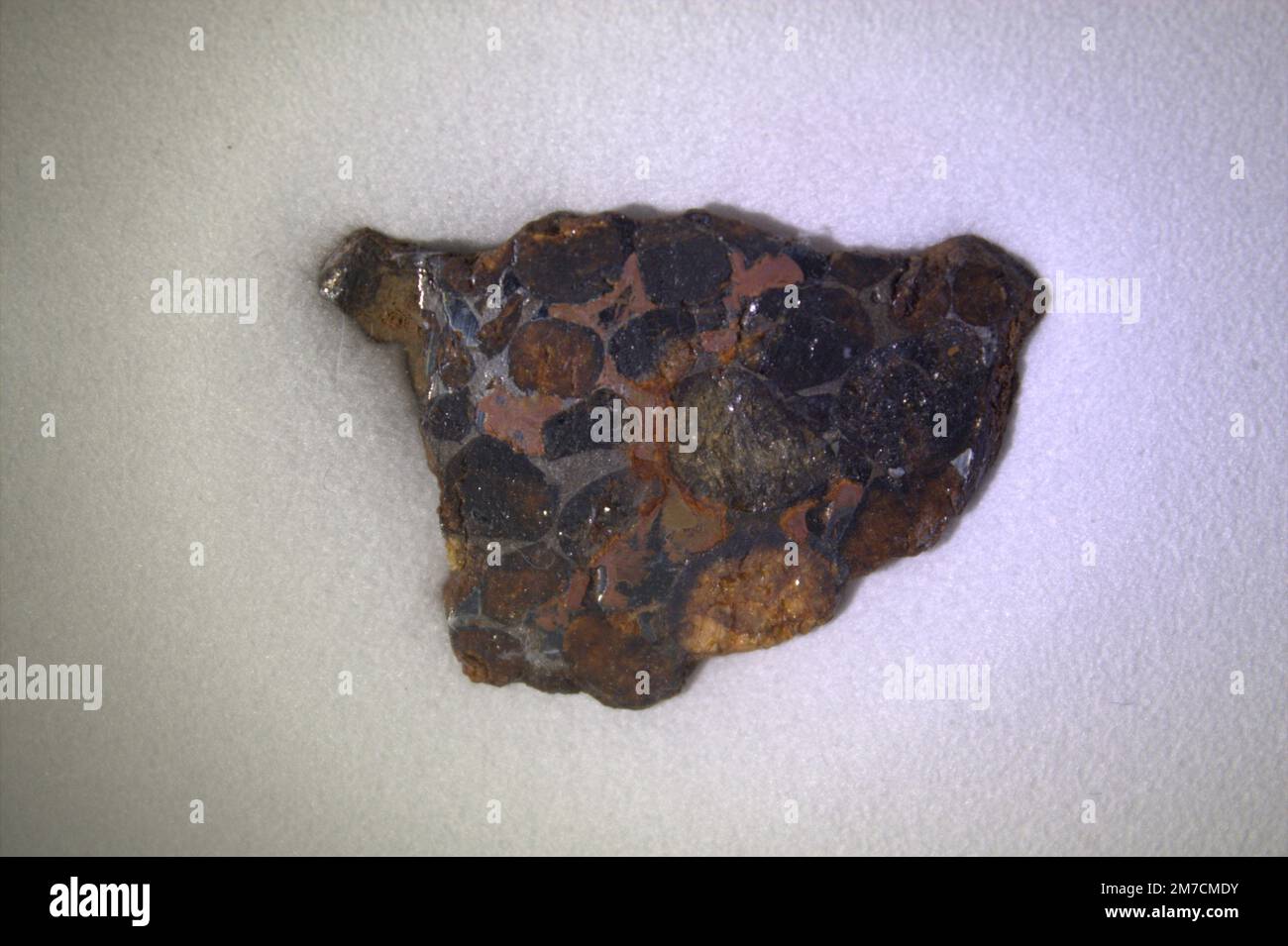 Pallasite Meteorite slice cut in half olivine crystals Stock Photo - Alamy
