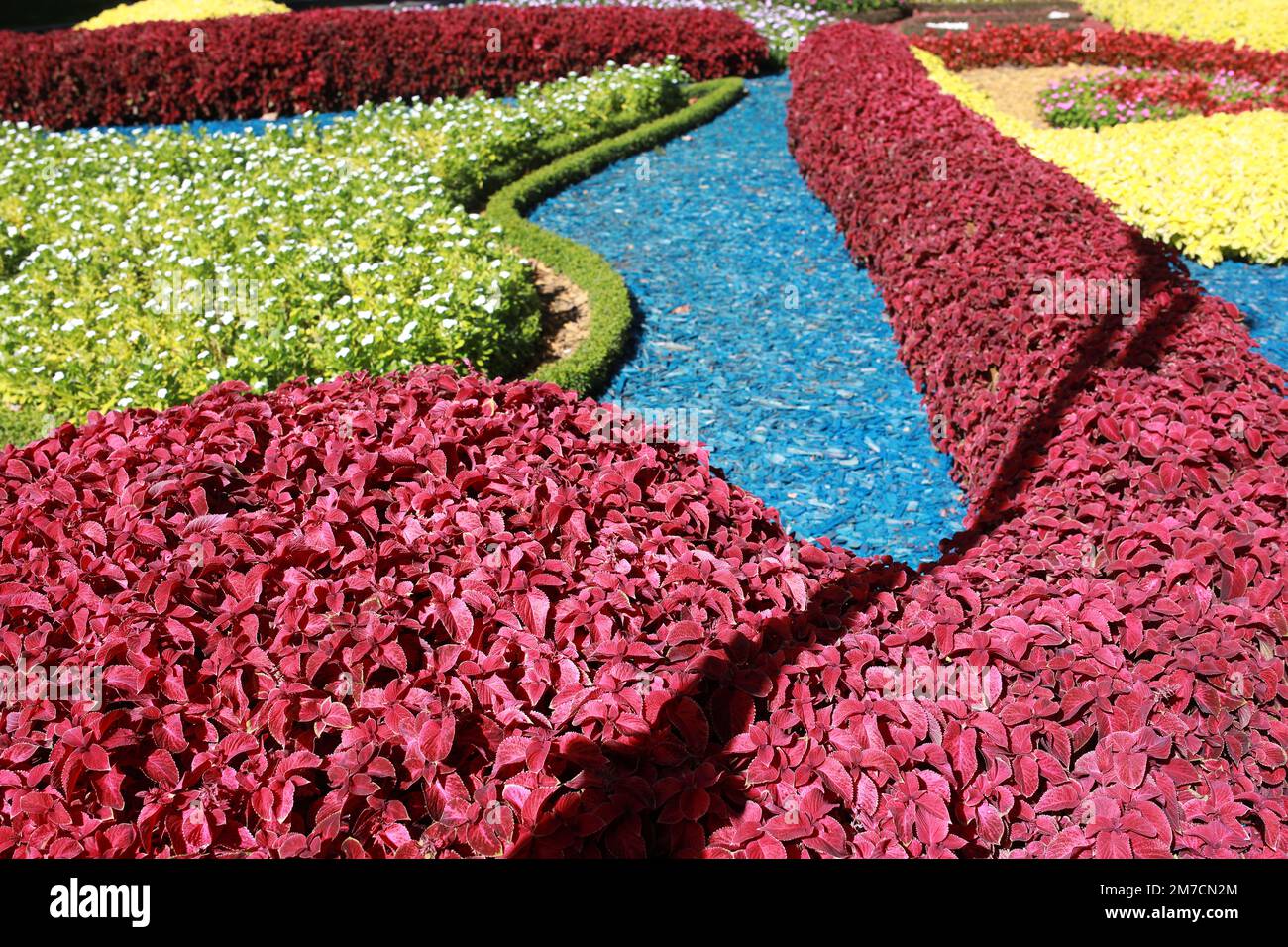 large plot of landscaping and flowers in the garden Stock Photo - Alamy