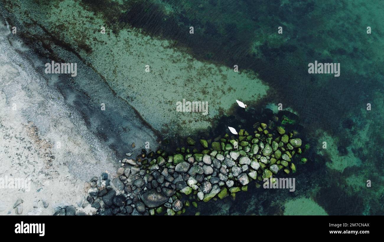 A closeup shot of small rocks on the beach and in the water Stock Photo ...