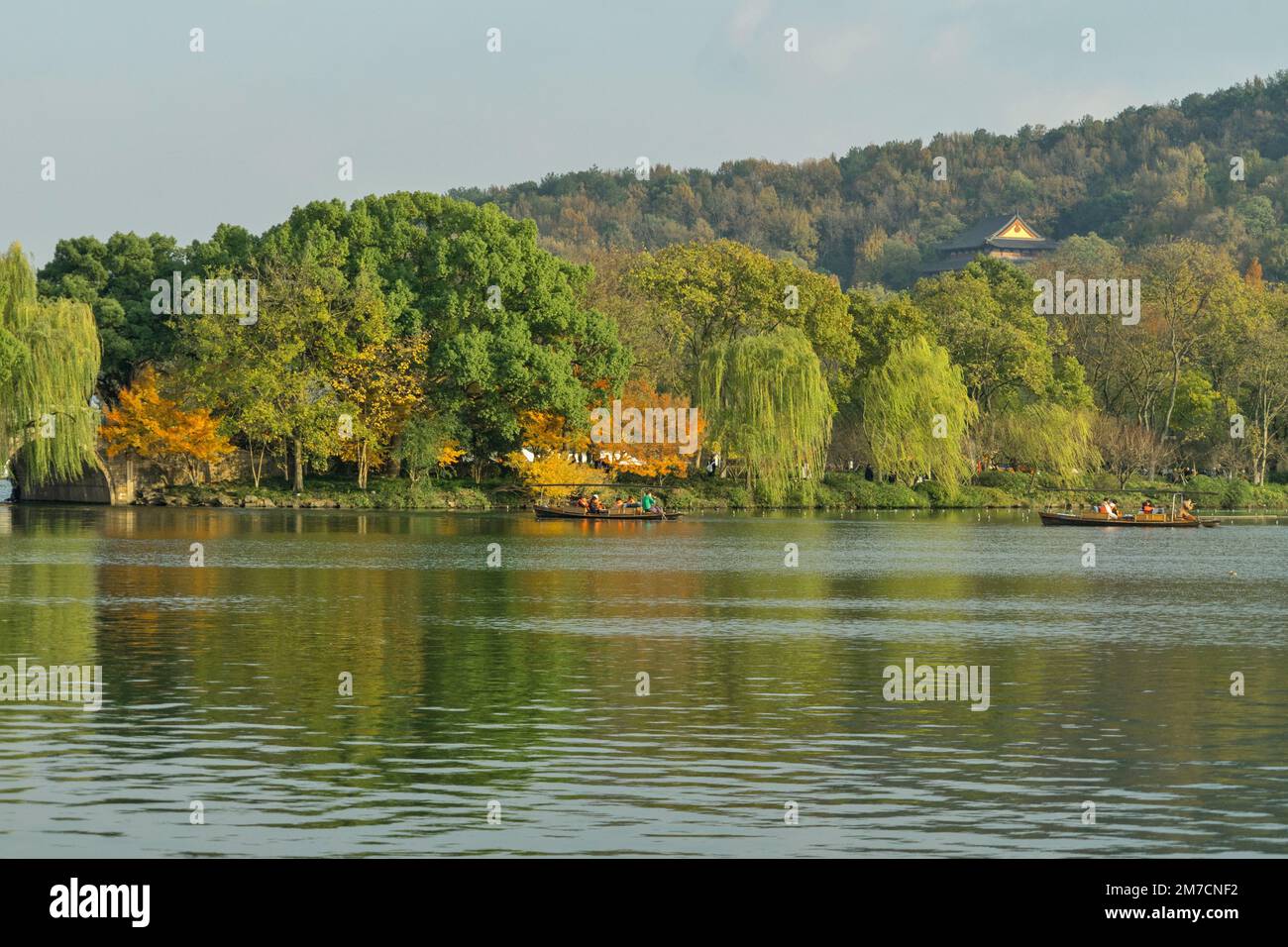 The colorful autumn maple trees on the shore of West Lake, Hangzhou ...