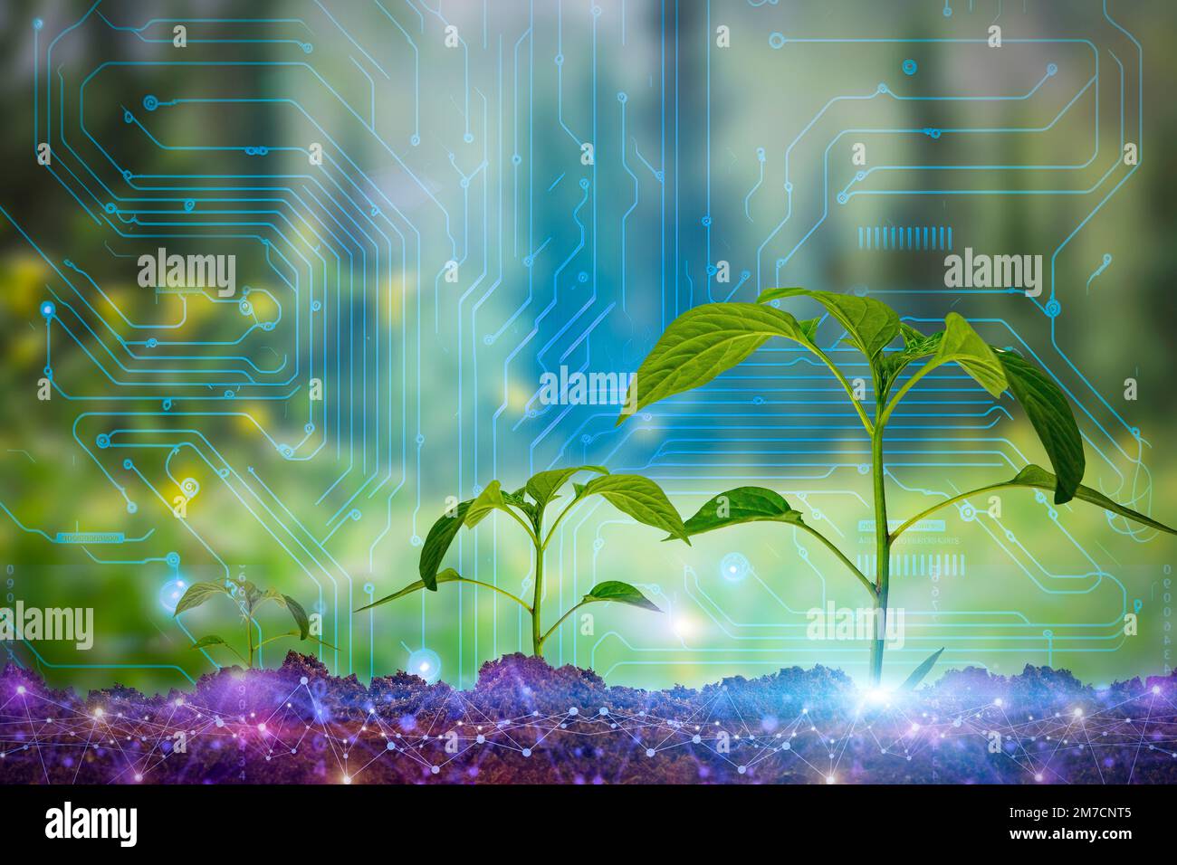 Agricultural technologies for growing plants and scientific research in ...