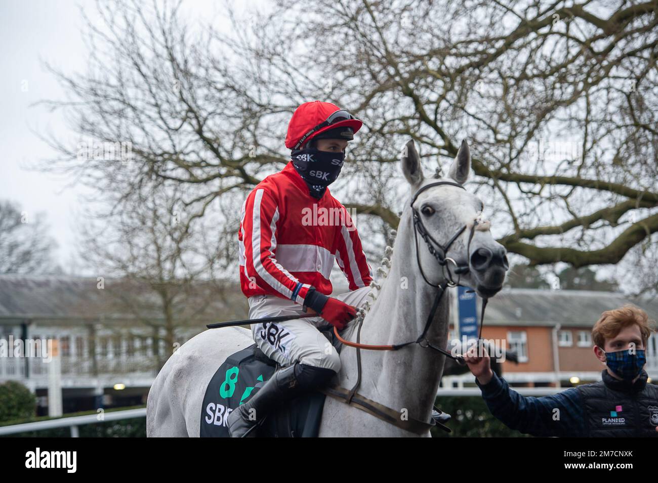 Kateson horse hi-res stock photography and images - Alamy