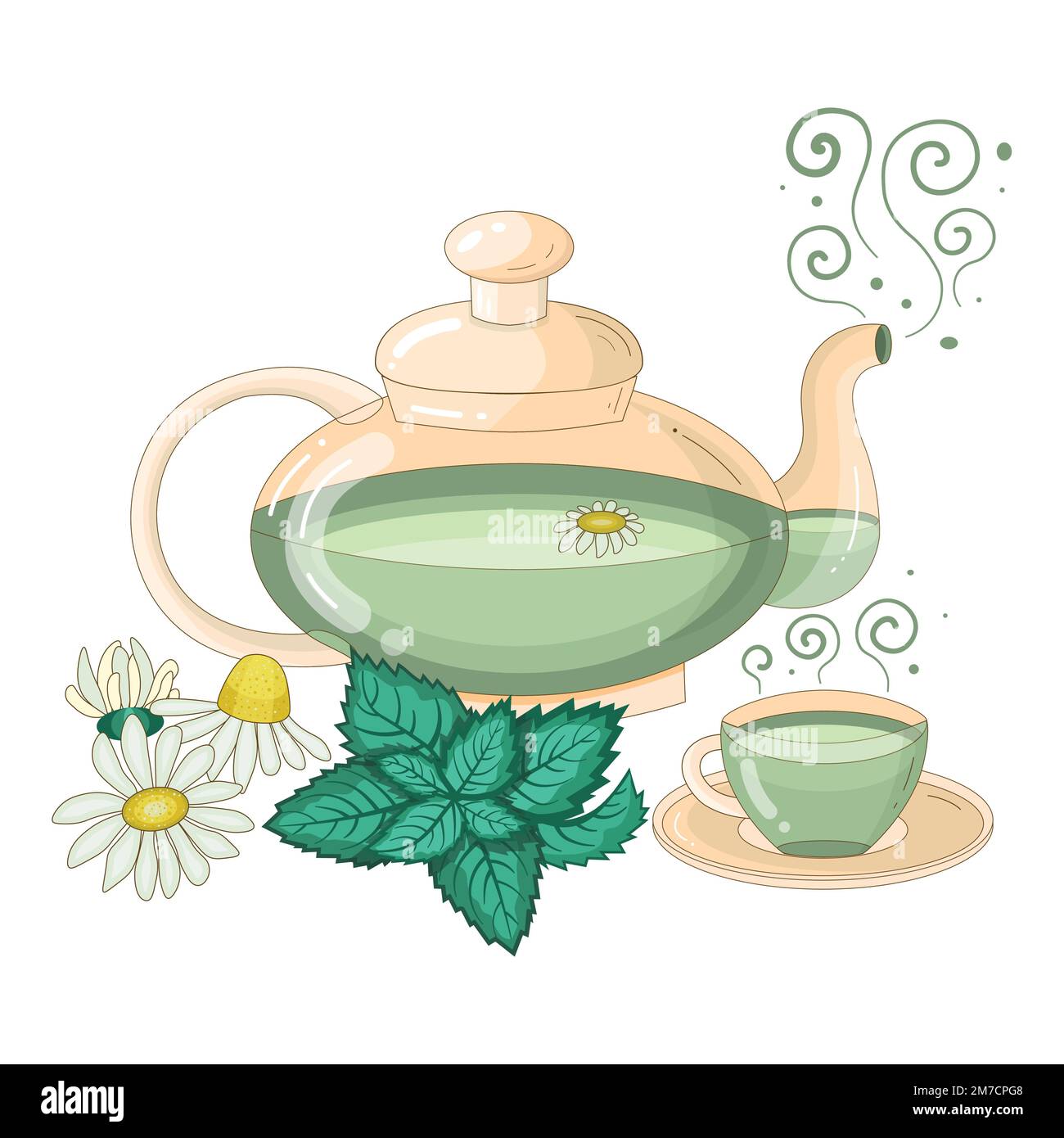 Mug herbal tea chamomile Stock Vector Images - Alamy