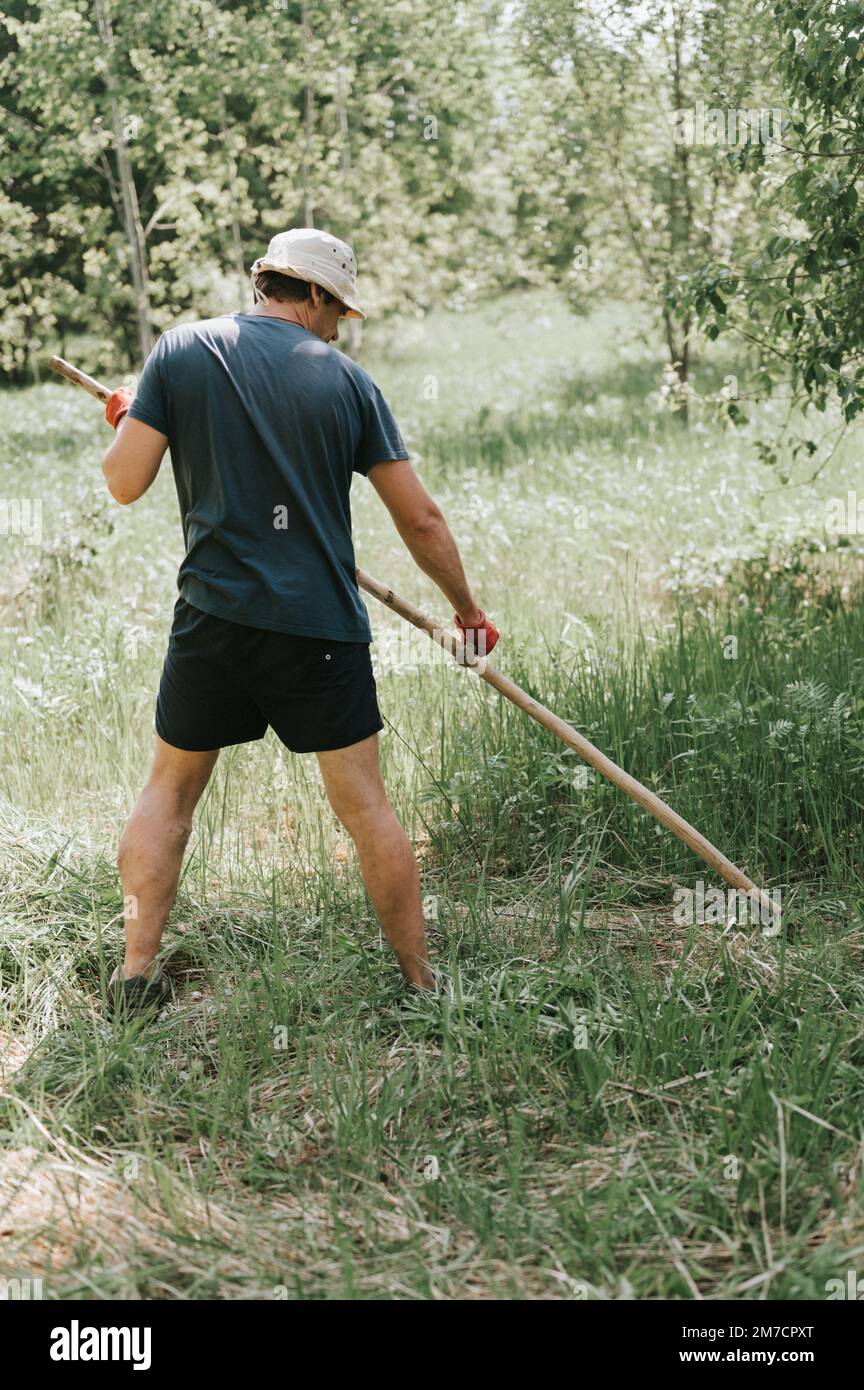 mowing the grass traditional old-fashioned way with the hand scythe on ...