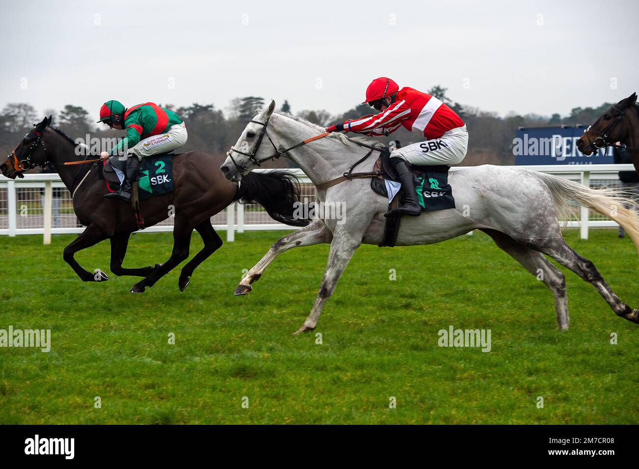 Ascot, Berkshire, UK. 22nd January, 2022. Horse Stoner's Choice (No 2 ...