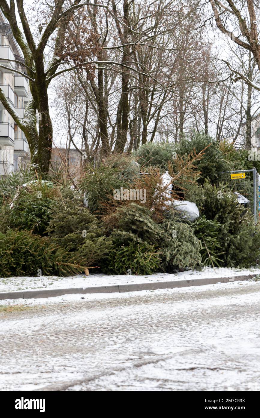 Huge pile of Christmas trees thrown out after Christmas and new year ...