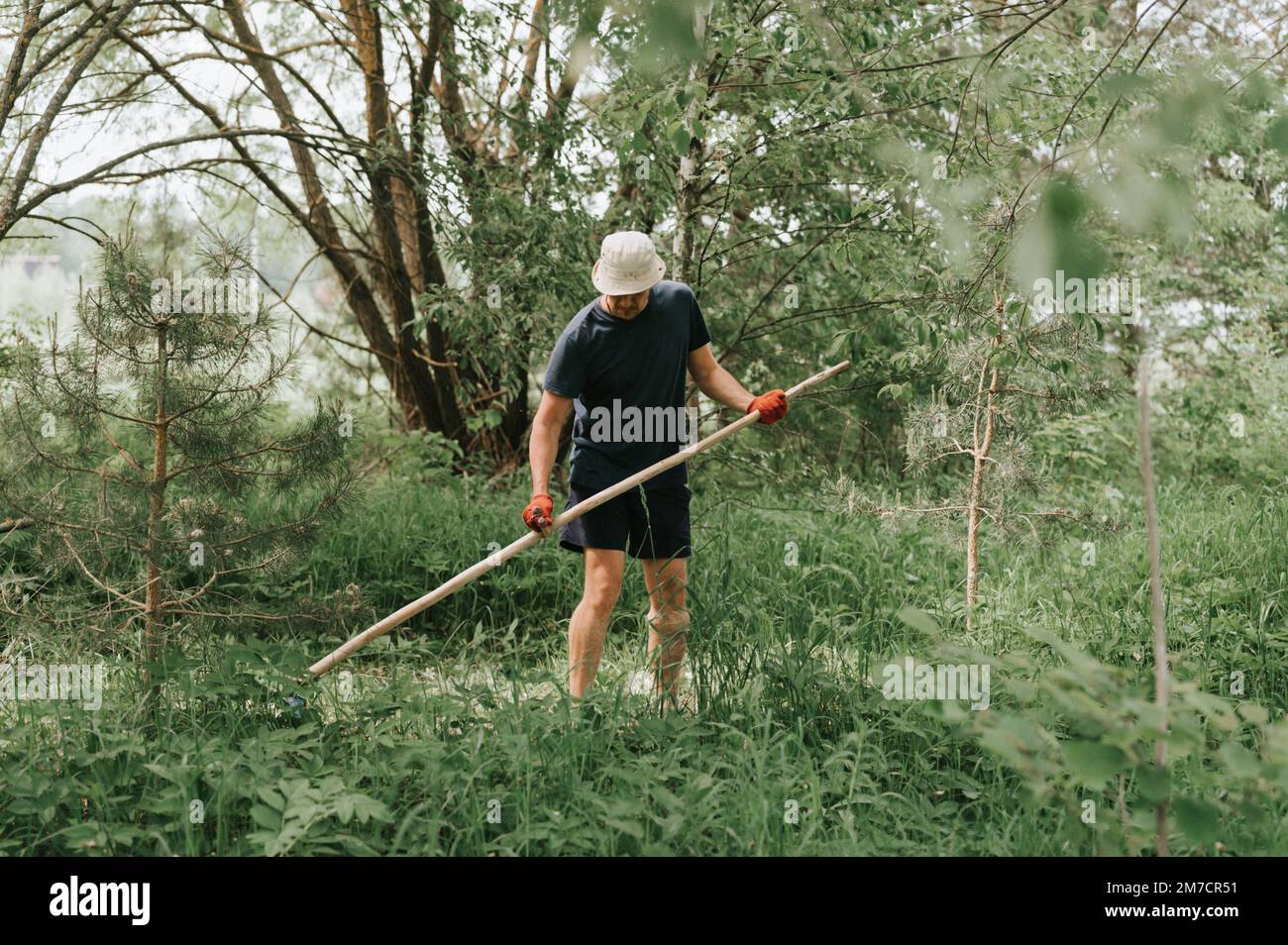 mowing the grass traditional old-fashioned way with the hand scythe on ...