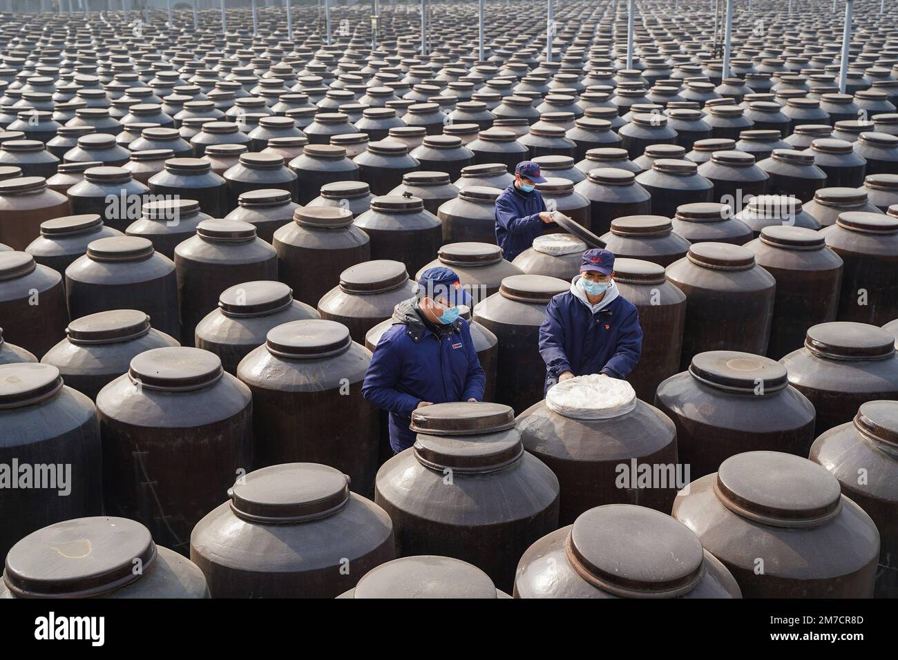 ZHENJIANG, CHIAN - JANUARY 9, 2023 - Workers check the drying of soy ...