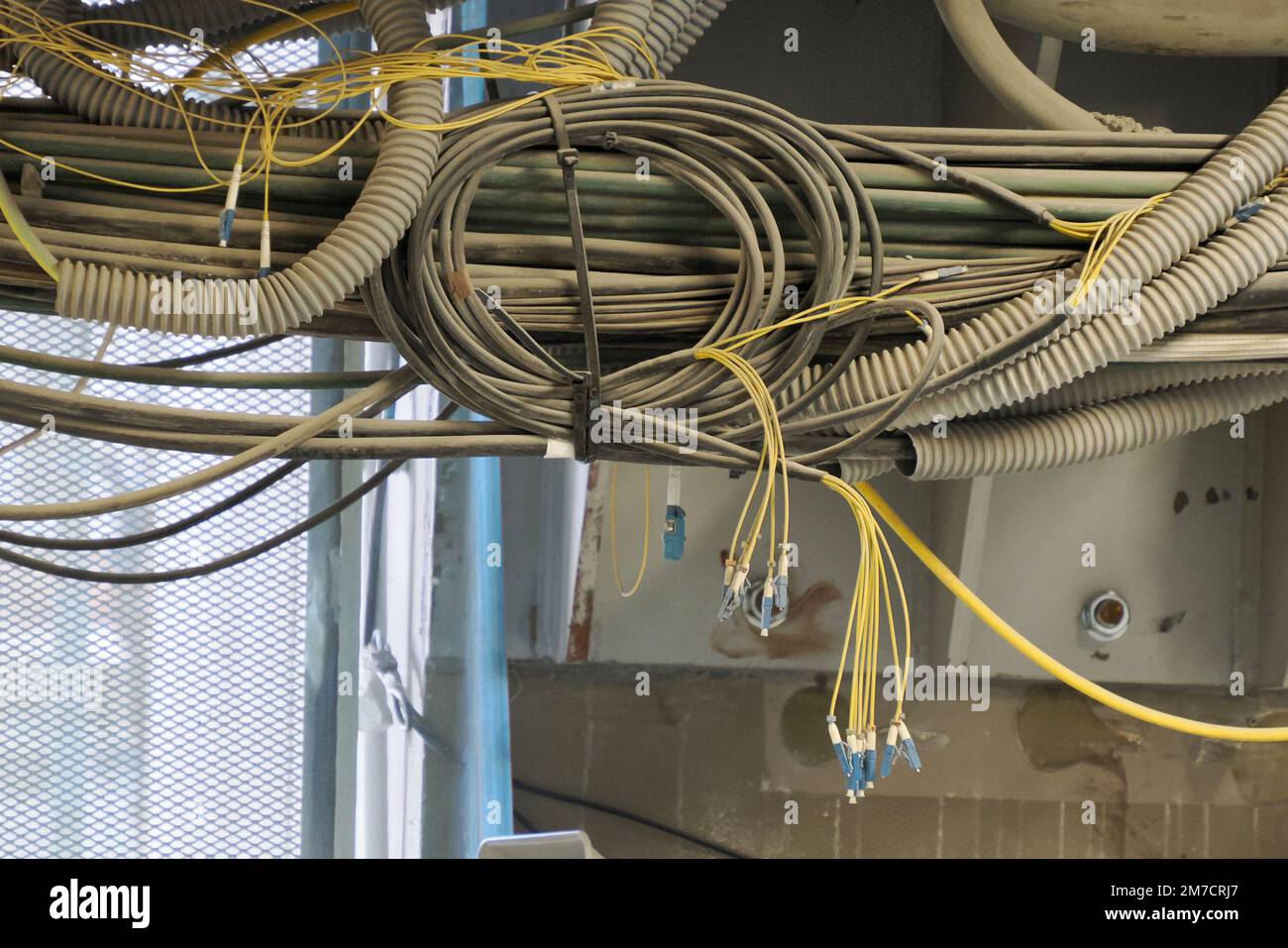 Large group of lilac utp Internet cables in Data Center Stock Photo - Alamy