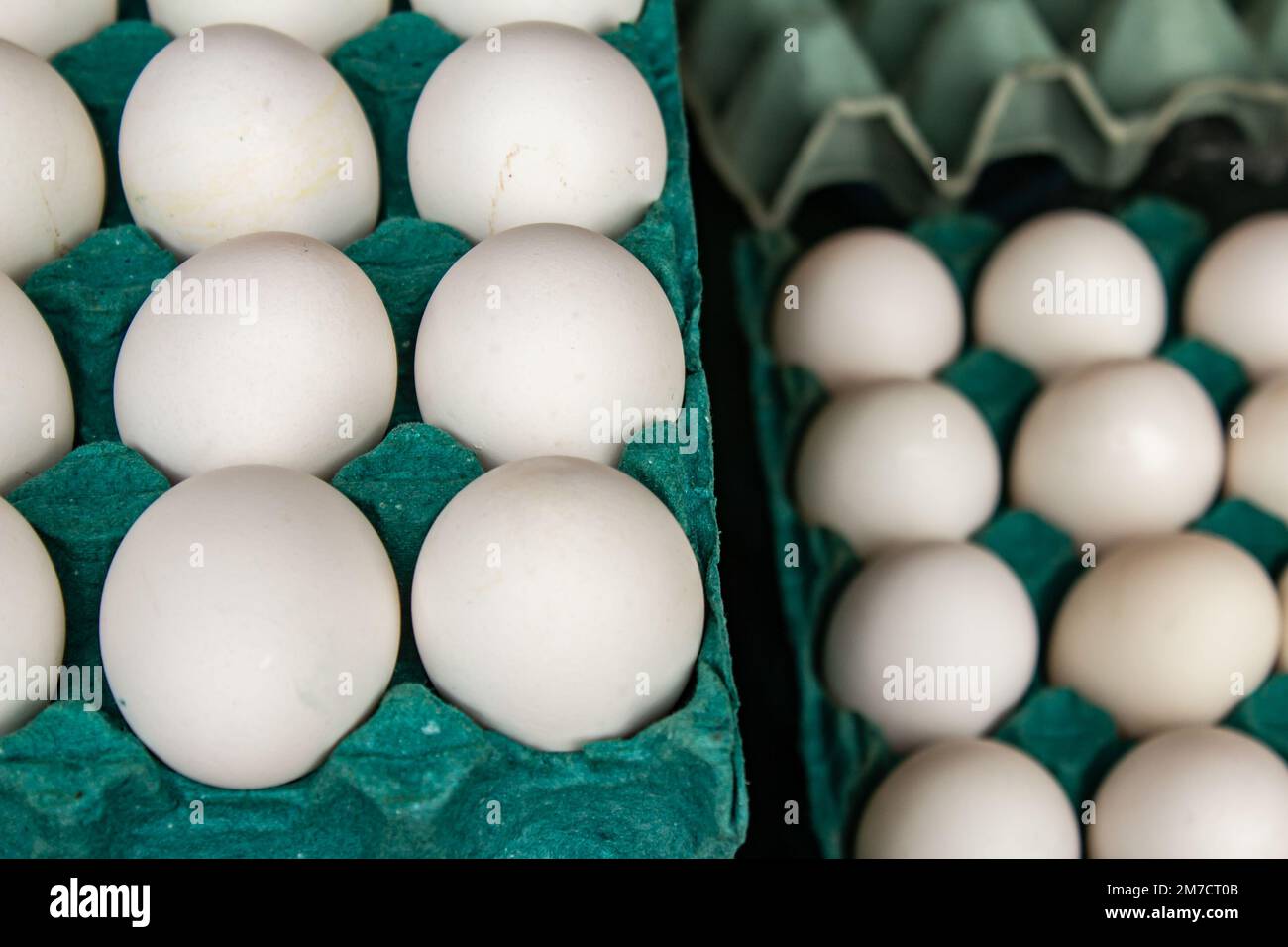 Carton Egg Whites Fitday