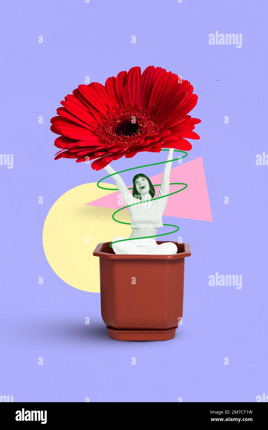 Flower pot collage hi-res stock photography and images - Alamy