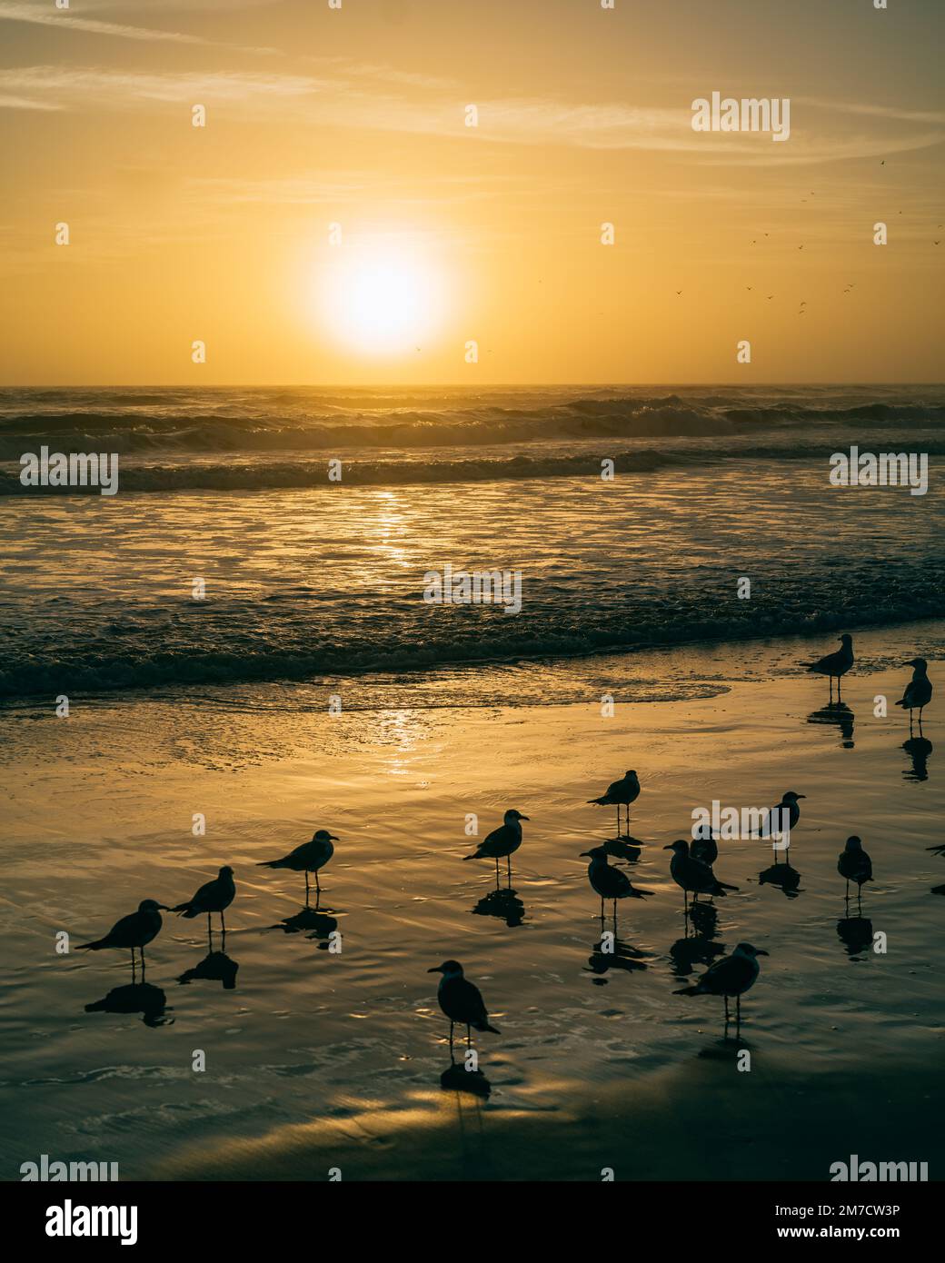 Hello friends hi-res stock photography and images - Alamy