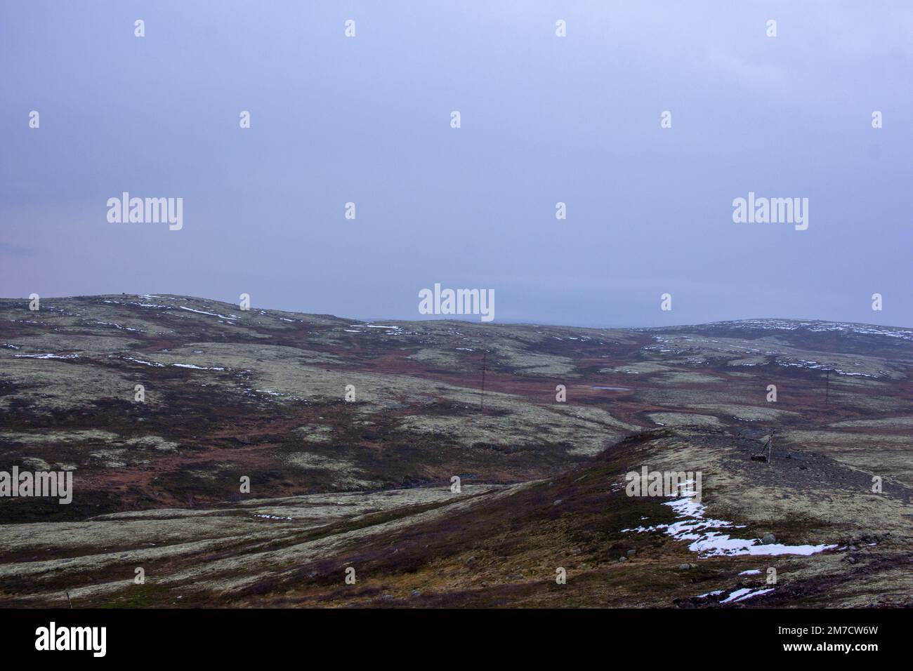 A landscape of green ground with water spots under gray misty sky in ...