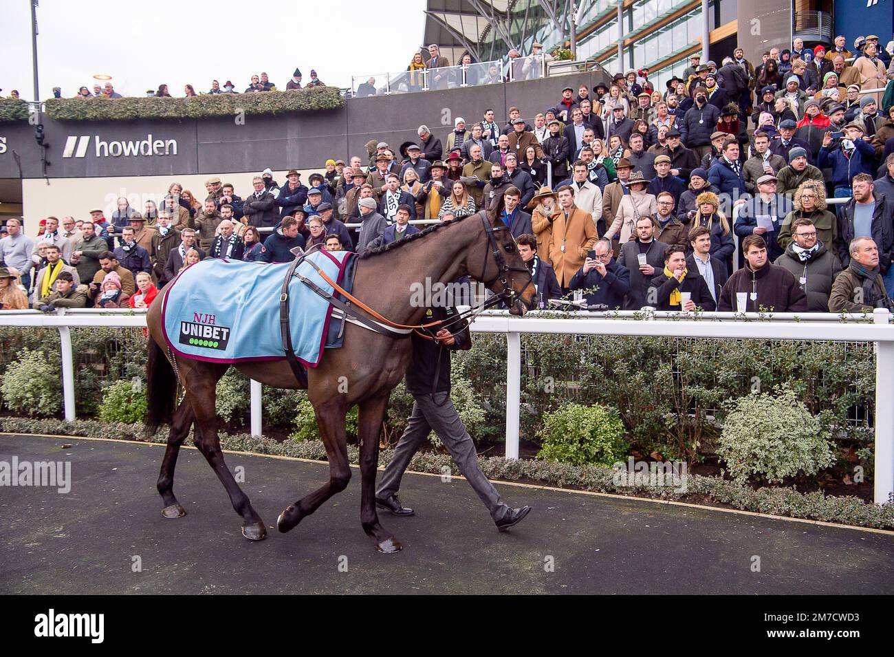 Ascot, Berkshire, UK. 22nd January, 2022. Irish horse Shishkin in the ...
