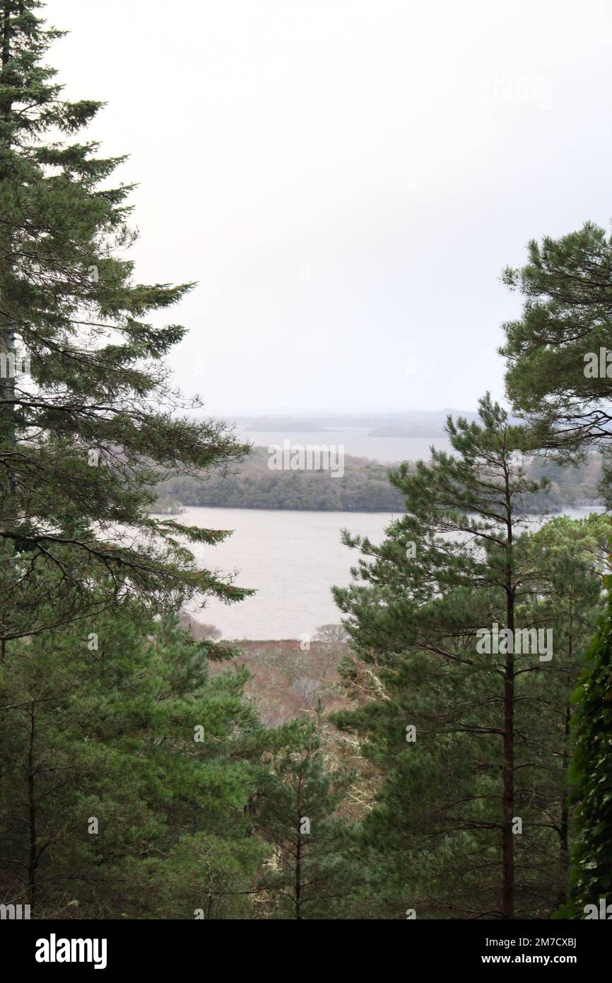 View of Muckross Lake from Torc Mountain in Winter Stock Photo - Alamy