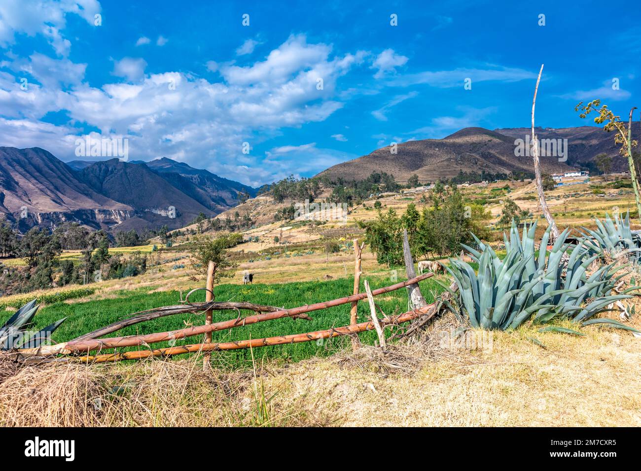 Amazon river peru mountain hi-res stock photography and images - Alamy