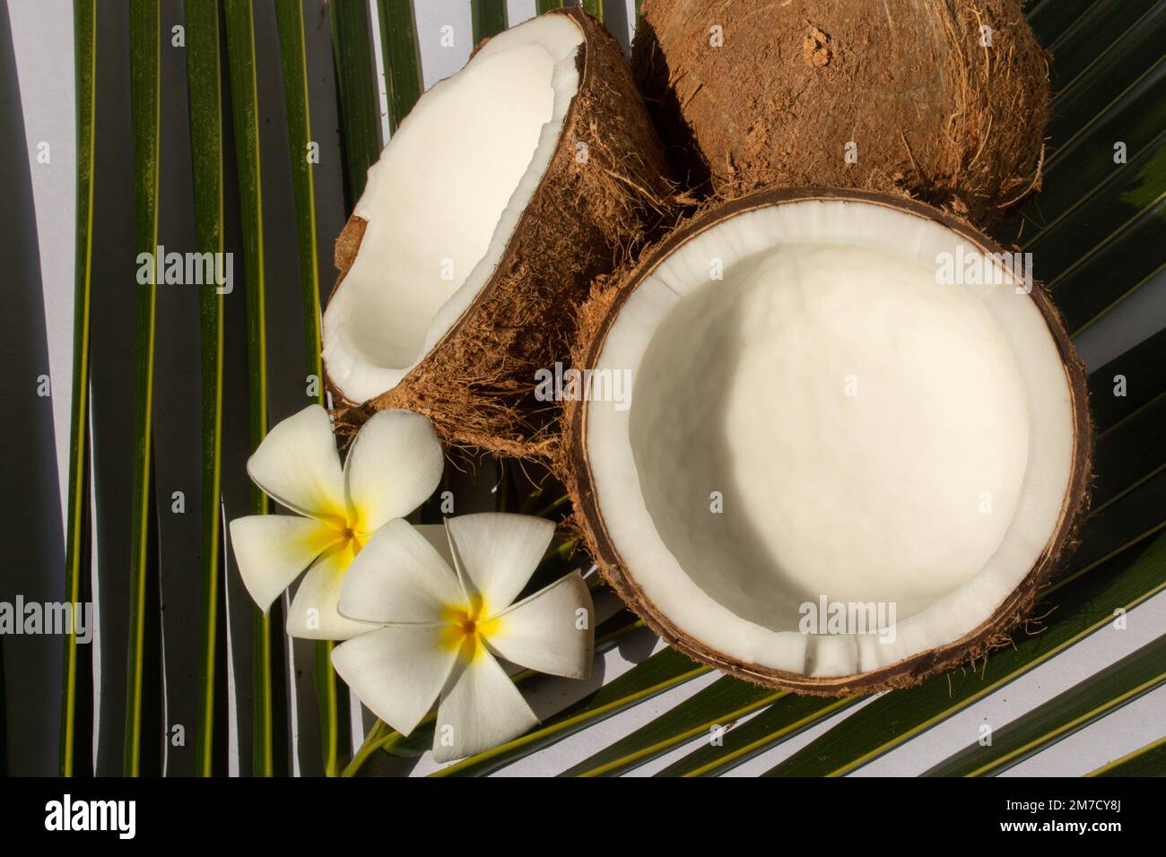 Tropical fruit concept, Halves of fresh coconut with leaves and ...