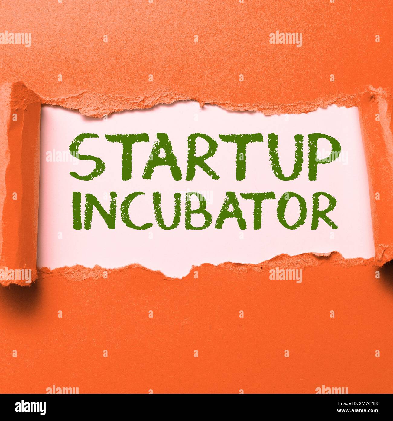 Writing displaying text Startup Incubator. Business showcase Concept ...