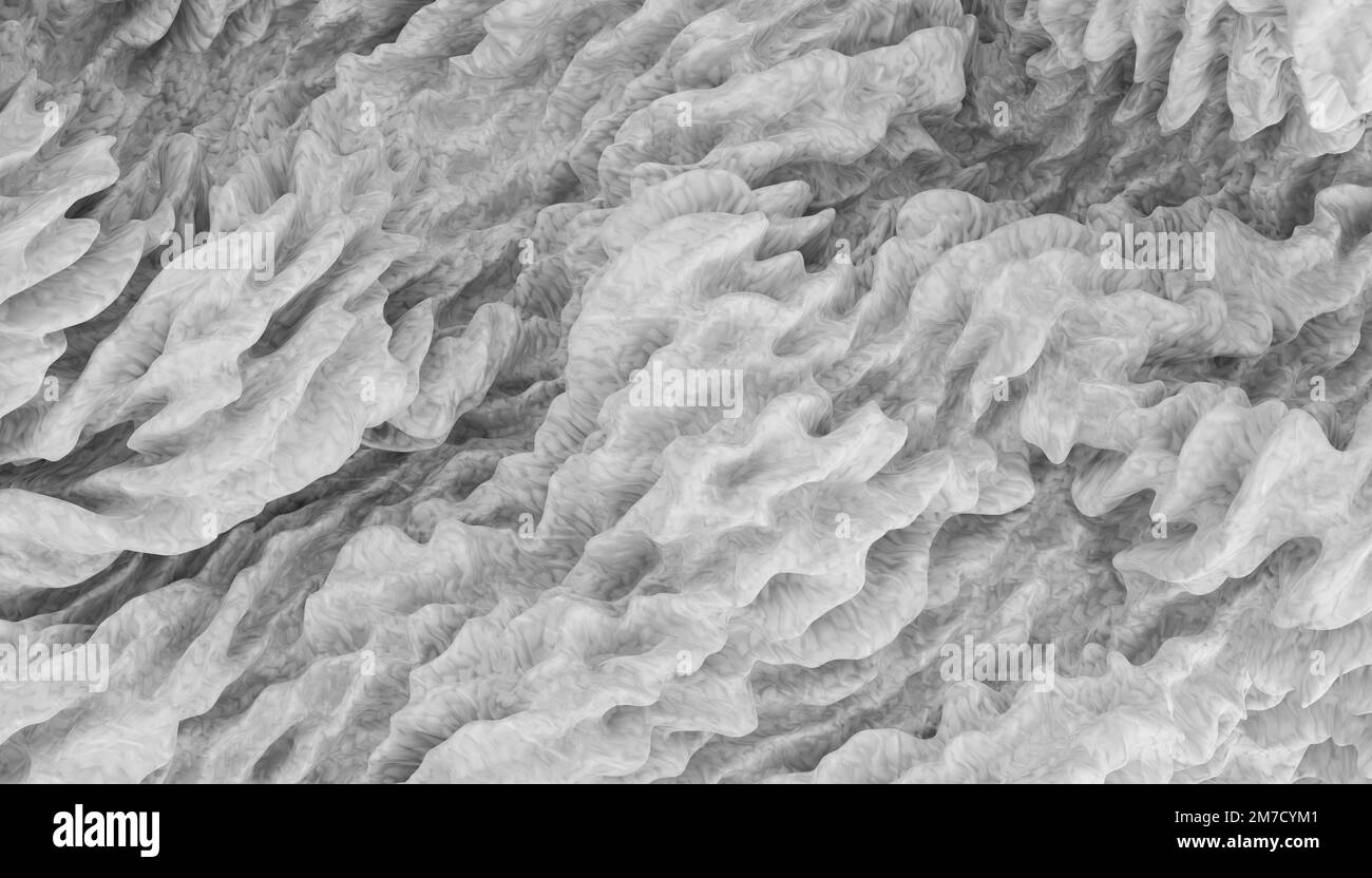 Detail of a rock with variants of gray. Rock full of curves and smooth ...