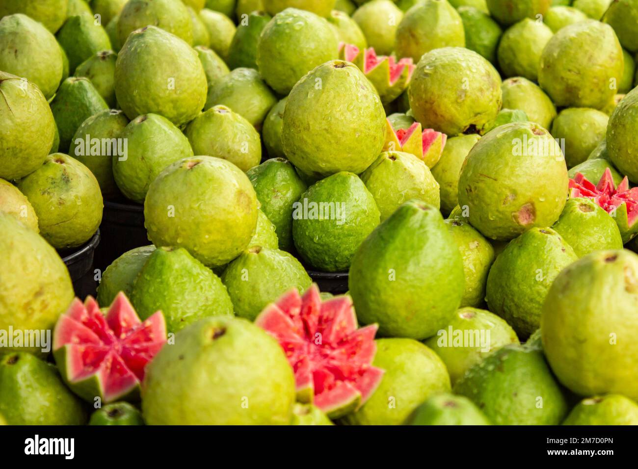 Common guava hi-res stock photography and images - Alamy