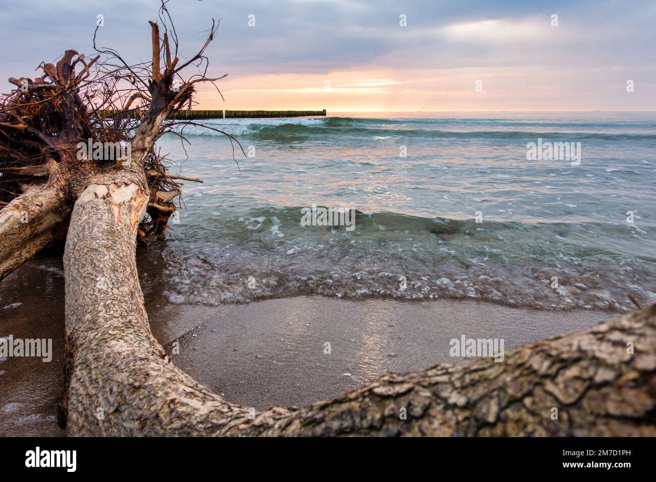 Stamm strand hi-res stock photography and images - Alamy