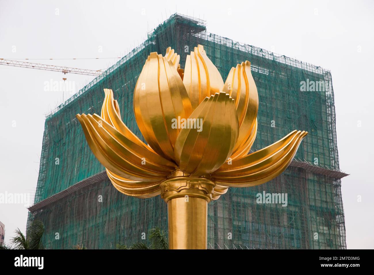 macau golden lotus square Stock Photo - Alamy
