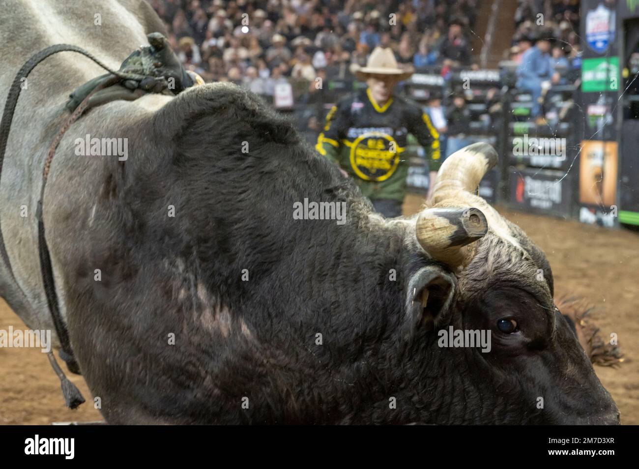 Cooper Davis rides Start Of The Show during the second round of the ...