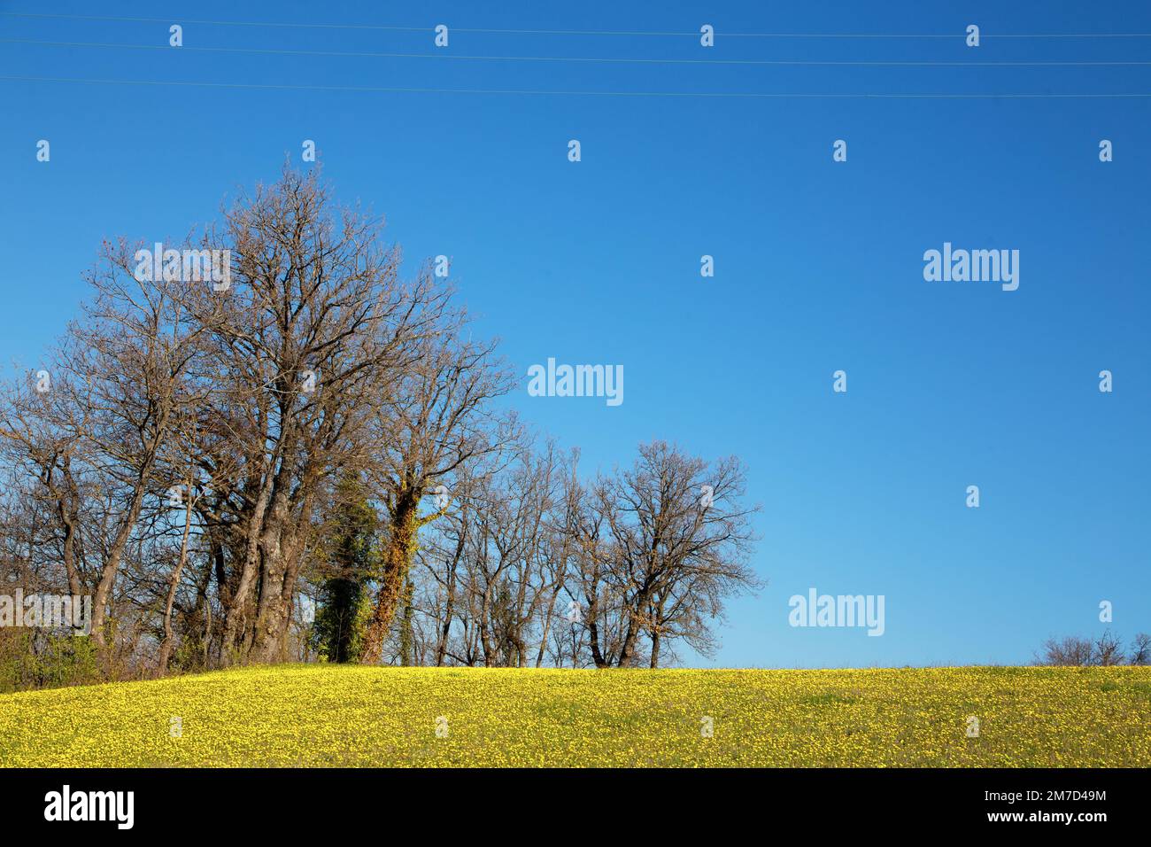 Summer landscape of the Po Valley Stock Photo - Alamy
