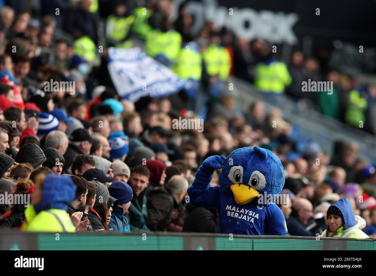 Cardiff, UK. 08th Jan, 2023. Bartley, the Cardiff city bluebird mascot ...