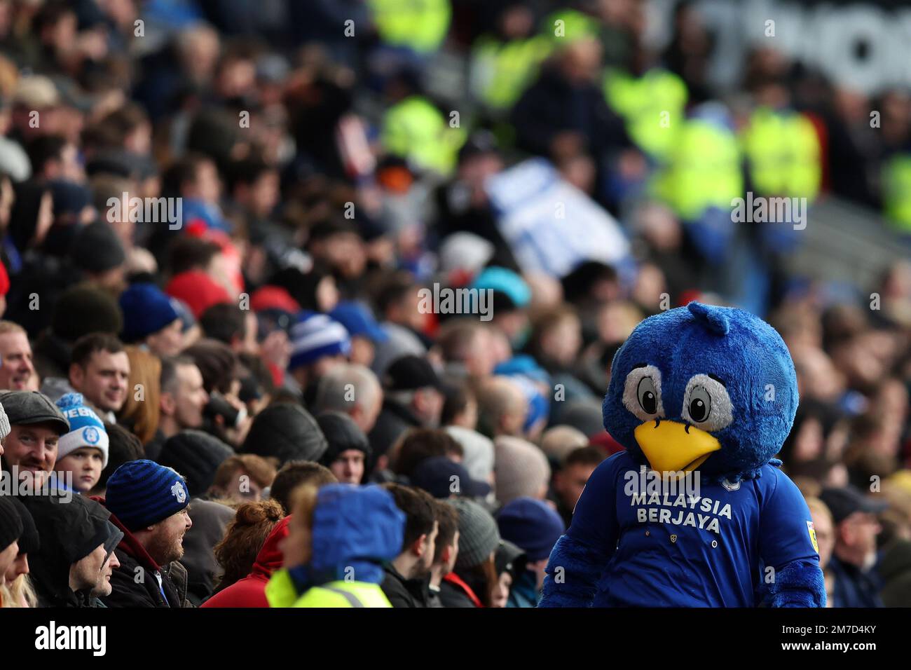 Cardiff, UK. 08th Jan, 2023. Bartley, the Cardiff city bluebird mascot ...