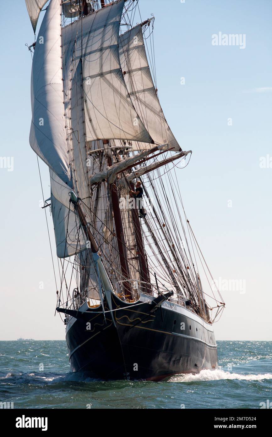 Morgenster tall ship ships hi-res stock photography and images - Alamy