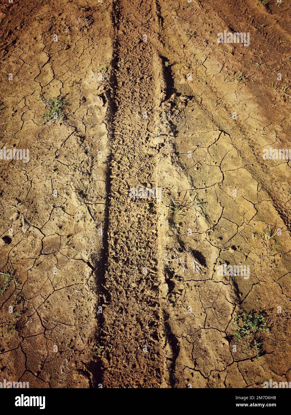A vertical shot of a wheel track on the ground Stock Photo - Alamy