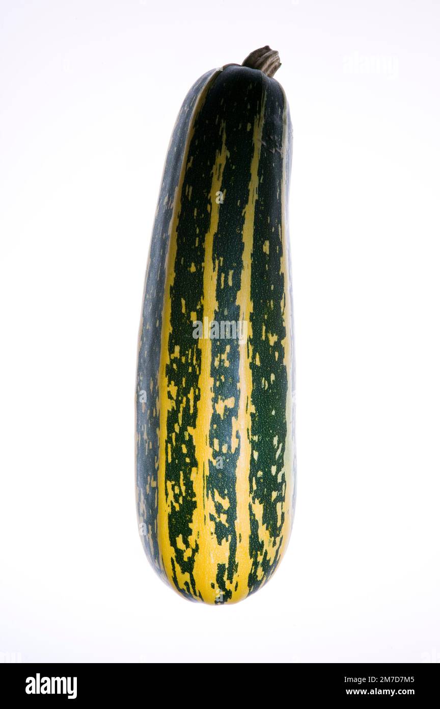 Still life studio style picture of a marrow on a white background Stock ...