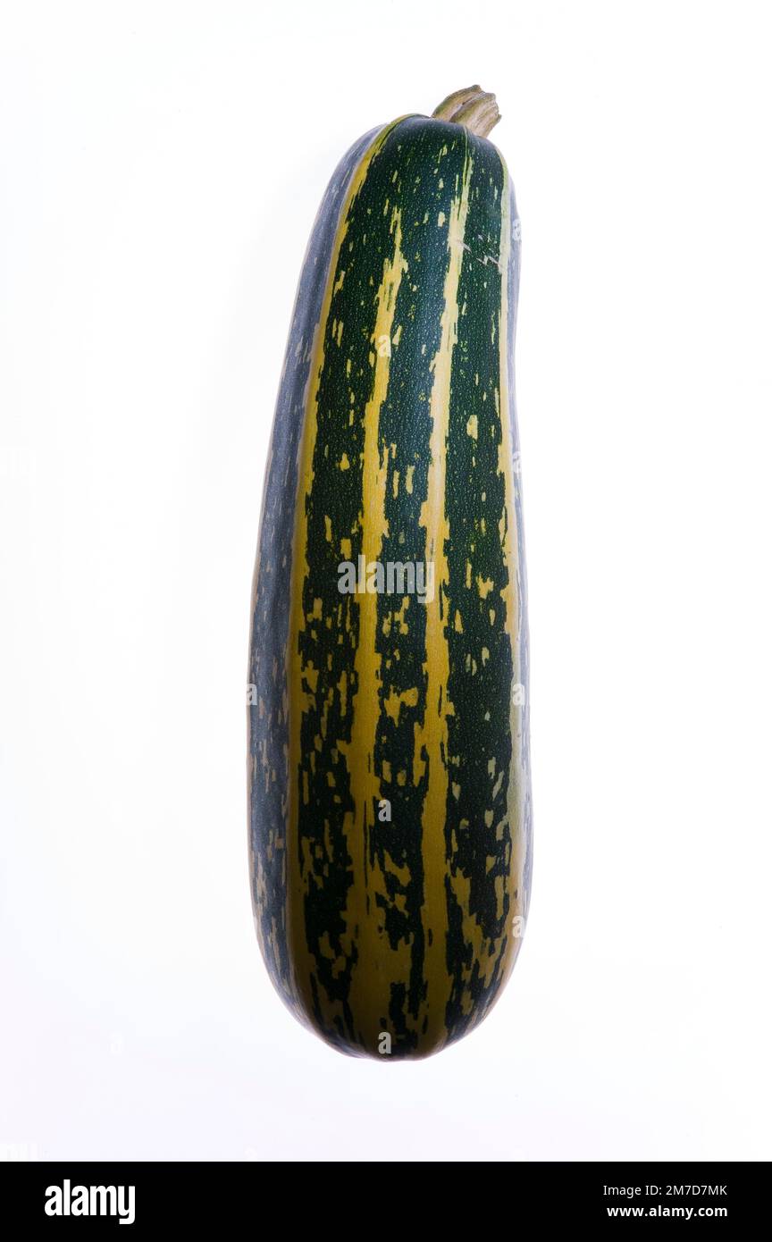Still life studio style picture of a marrow on a white background Stock ...