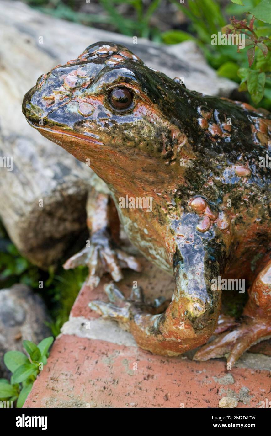 A clay frog used as a garden ornamnet sitting next to a small garden ...