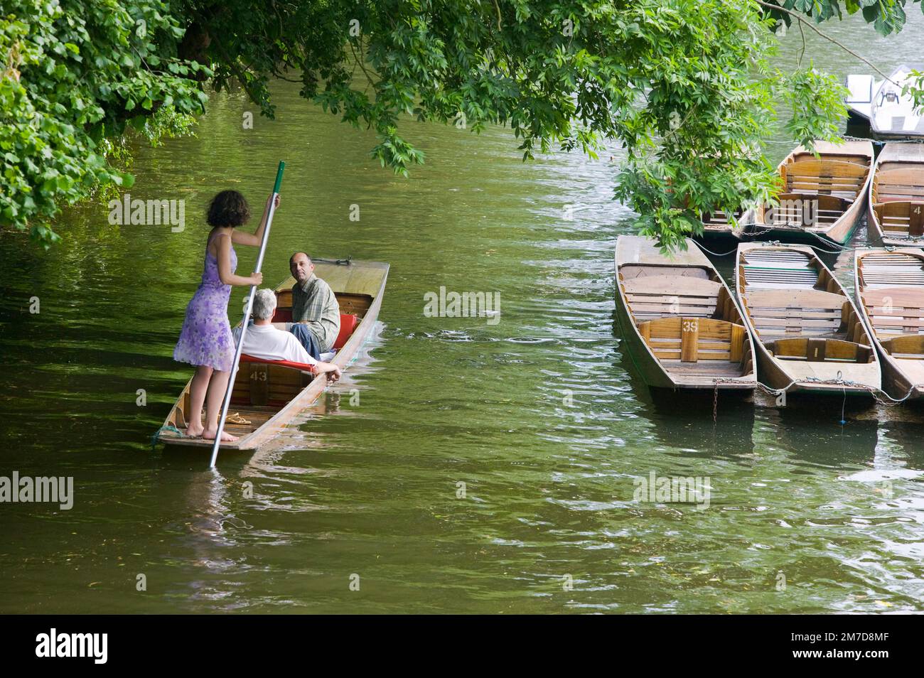 Punting on the river Cherwell near Magdalen bridge in the University ...