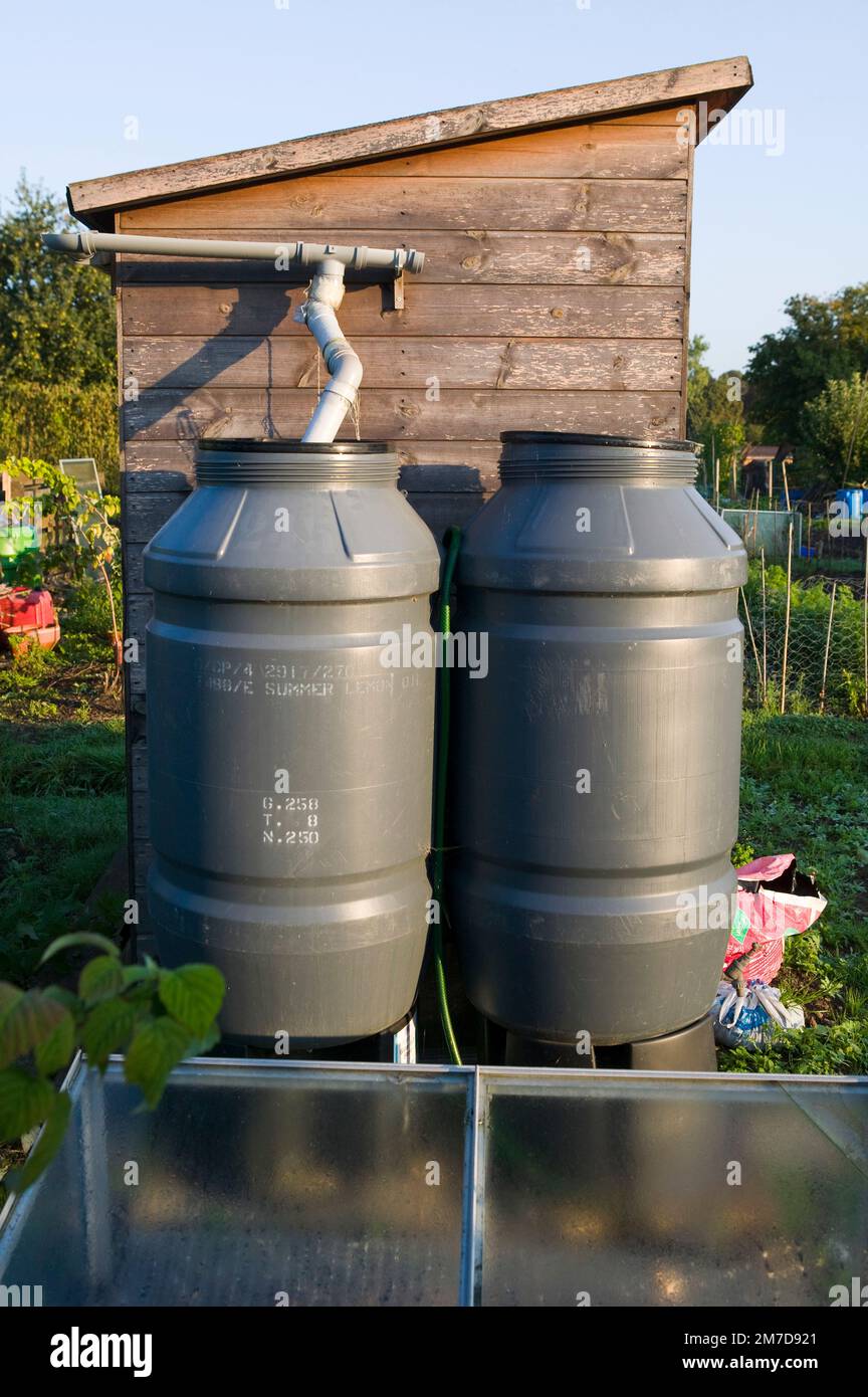 A plastic rainpipe is used to collect water from a shed roof on an ...