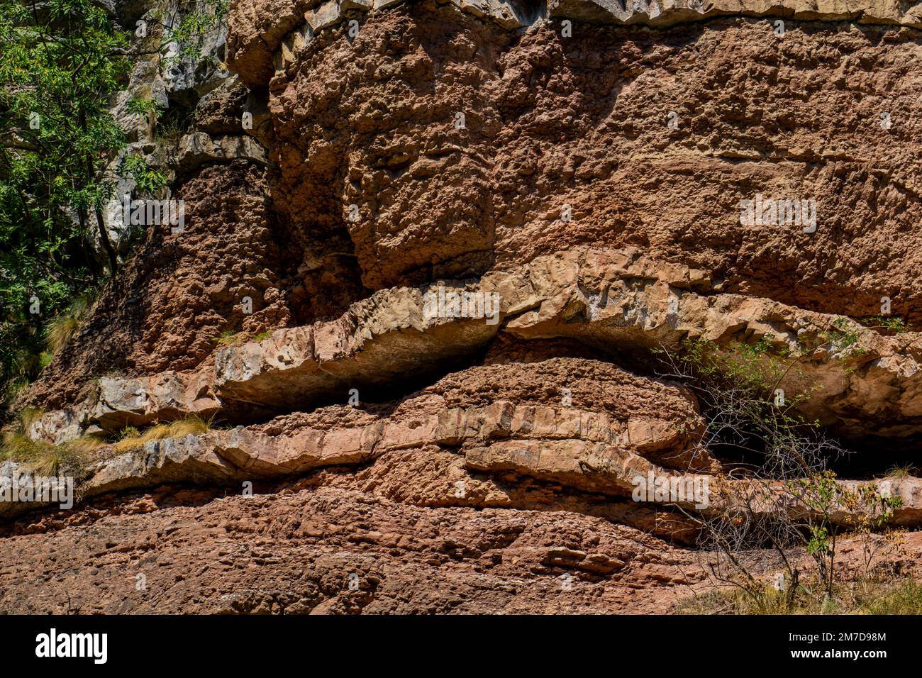 View at geological formations at Boljetin river gorge in Eastern Serbia ...