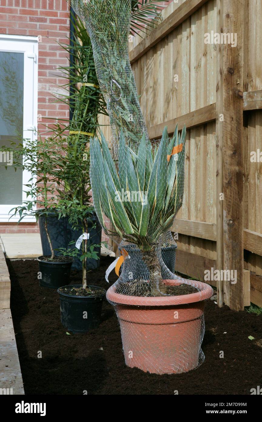 Preparing hard standing and decking areas in a small garden and laying ...